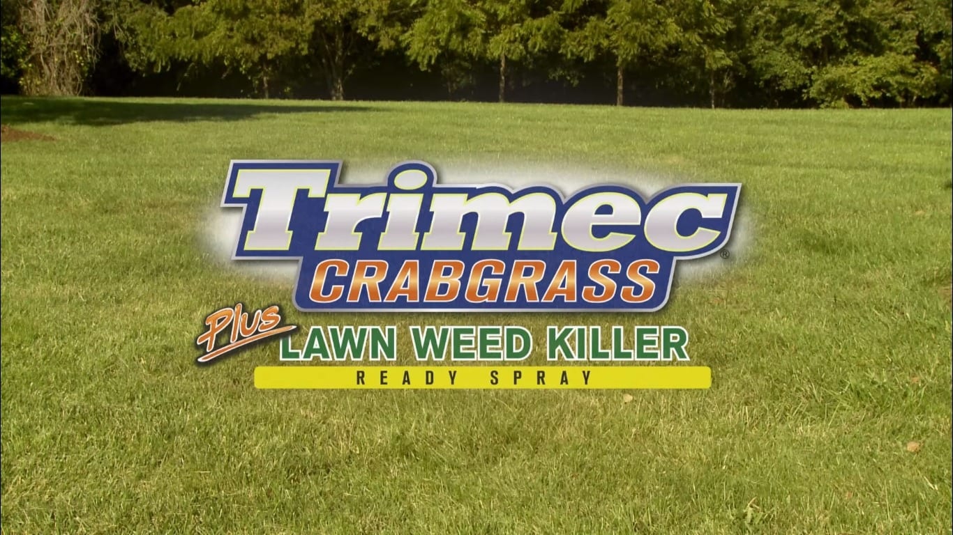 How-To Video: Trimec® Crabgrass Plus Lawn Weed Killer Ready Spray ...